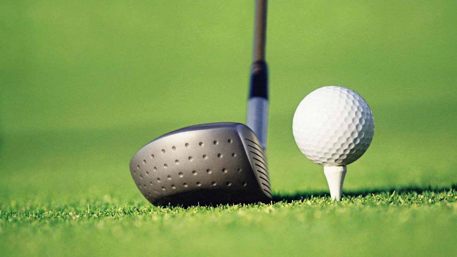 Tee Time Booking - Basic - Prospect Heights - Gowanus Golf Club